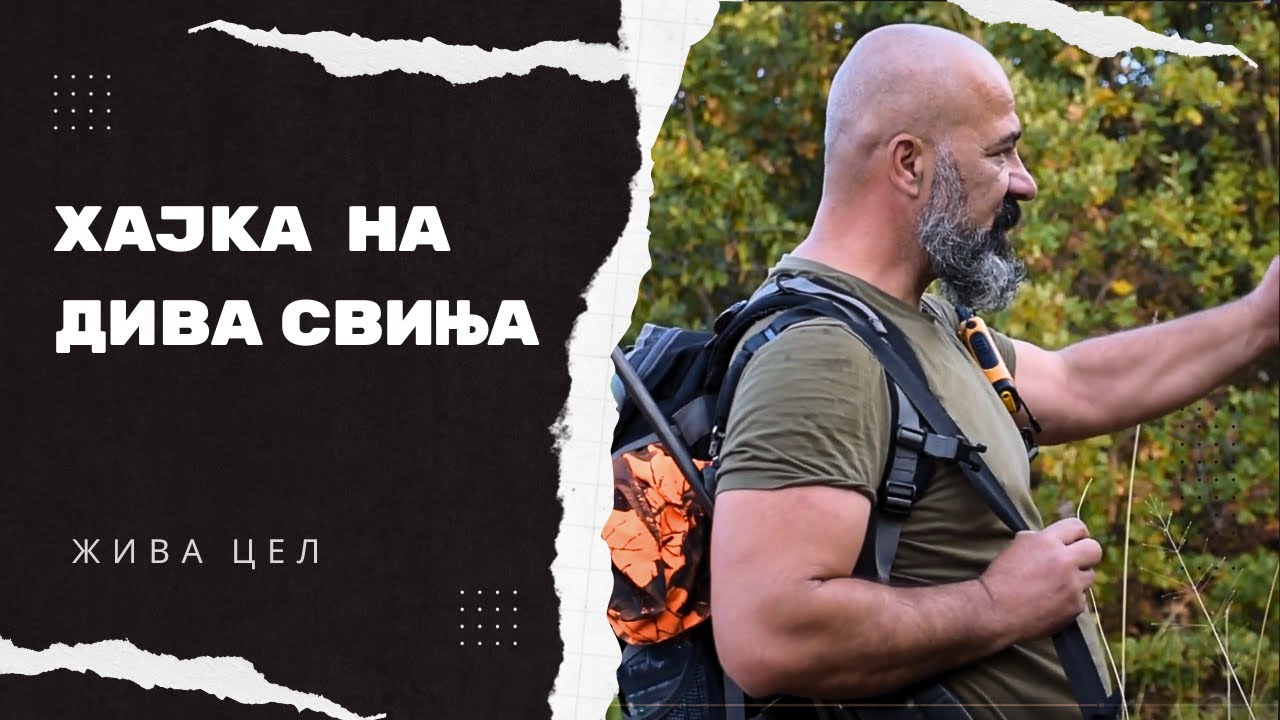 Hajka na diva svinja | S3E06 - Ziva Cel #hunting #lov #wildboar - YouTube