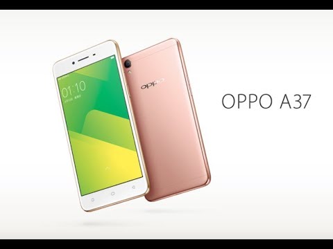 OPPO A37 Vs A37F - YouTube