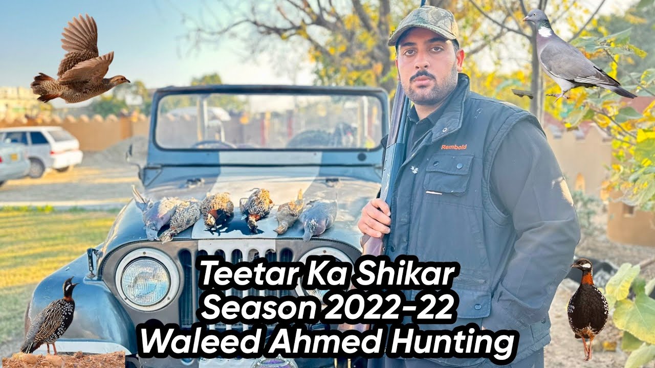 Grey Partridge & Black Francolin Hunting In Pakistan | Kala Teetar Ka ...