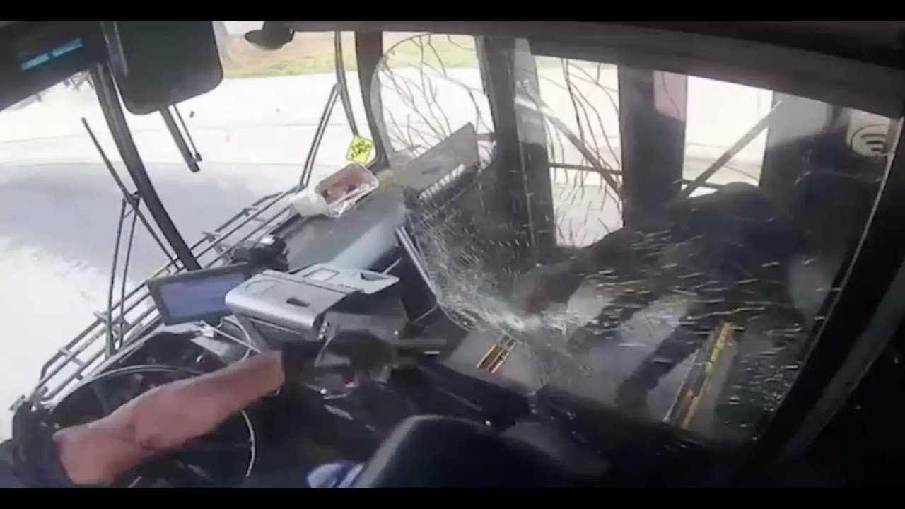 Bus Driver, Passenger Get Into Wild Shootout - YouTube