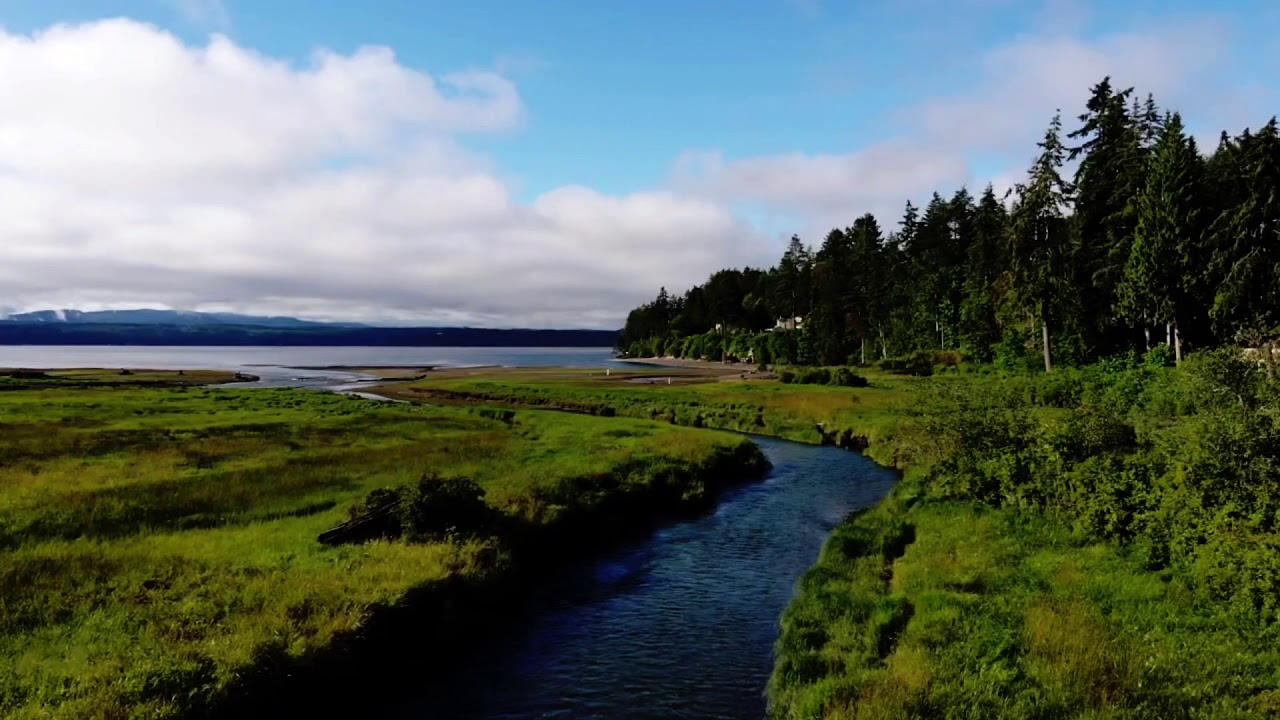 Dosewallips River estuary - YouTube