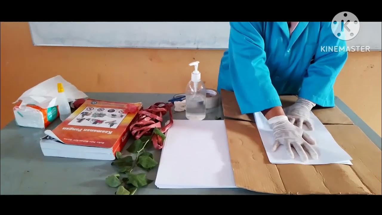 8a_ 35031 _HAMIDAH, S Pd I _ TUGAS LABORATORIUM BIOLOGI PENGAWETAN _PENGAWETAN KERING _ Part 2 ...