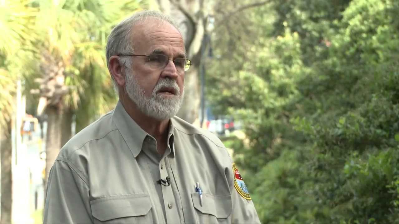 Endangered Species License Plate - YouTube