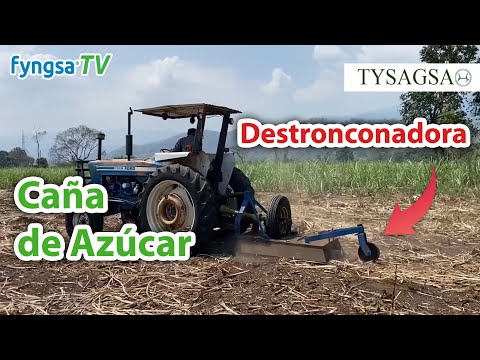 Uso de la Destronconadora en la caña de azúcar  | fyngsa® y Tysagsa