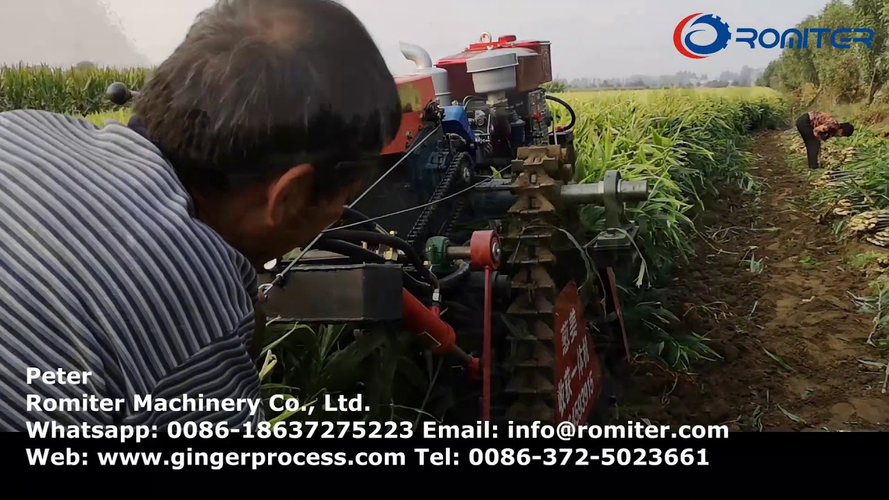 Automatic Ginger Harvester Machine with Diesel Engine - YouTube