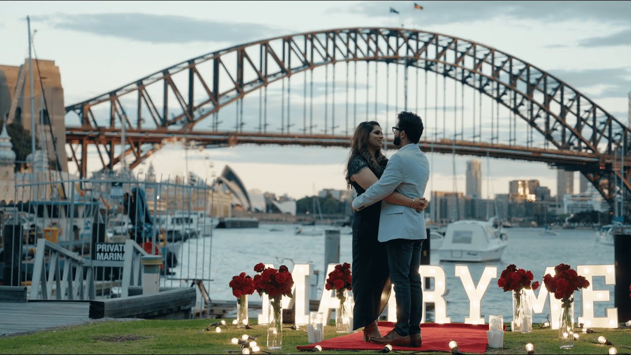 Propose With Your Furry Friend! - Sydney Harbour Proposals - inLight ...