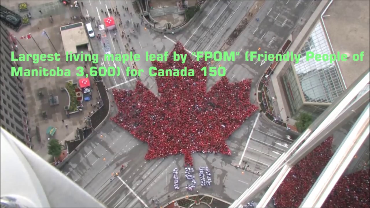 Canada Day: Time-lapse captures 'largest living maple leaf' - YouTube