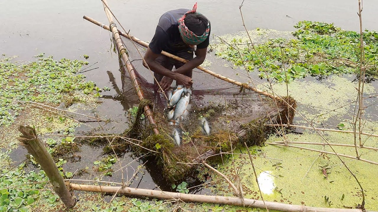 Amazing Fishing Video - Fishing Video Catching Big Fish - River Fishing ...