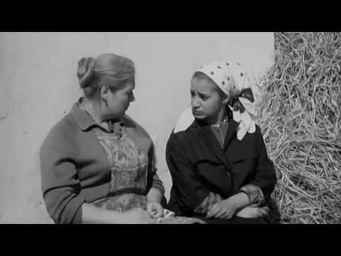 Каспийский груз доедиш пиши