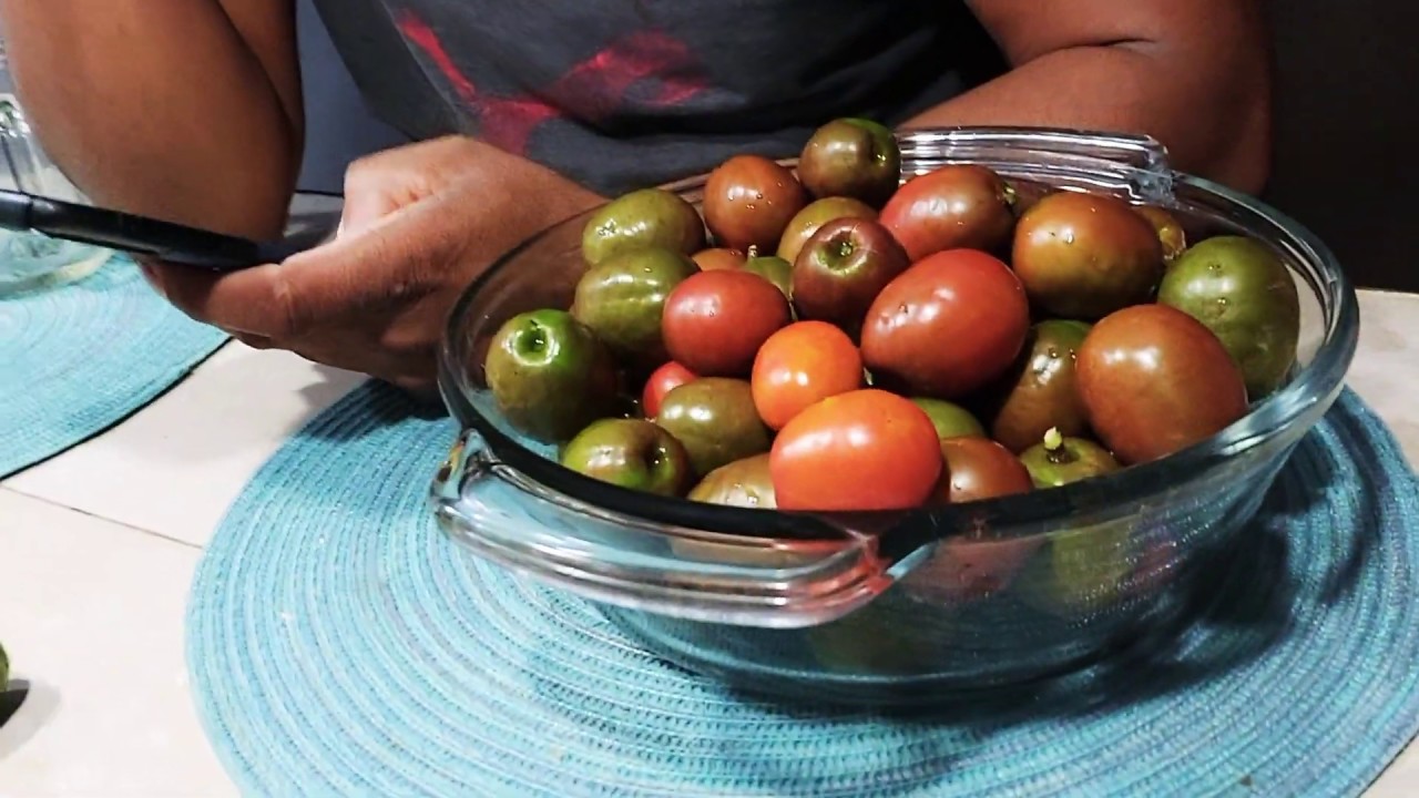 🇸🇻😋A comer jocotes floridianos deliciosos💯🇸🇻 - YouTube