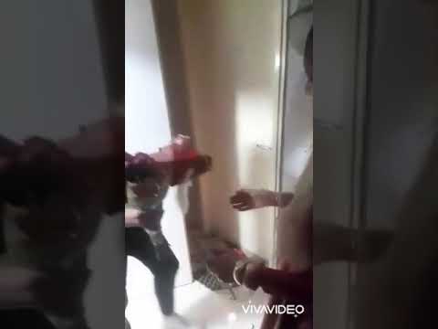 Aso ve Acer (14 Şubat Sevgililer Günü)
