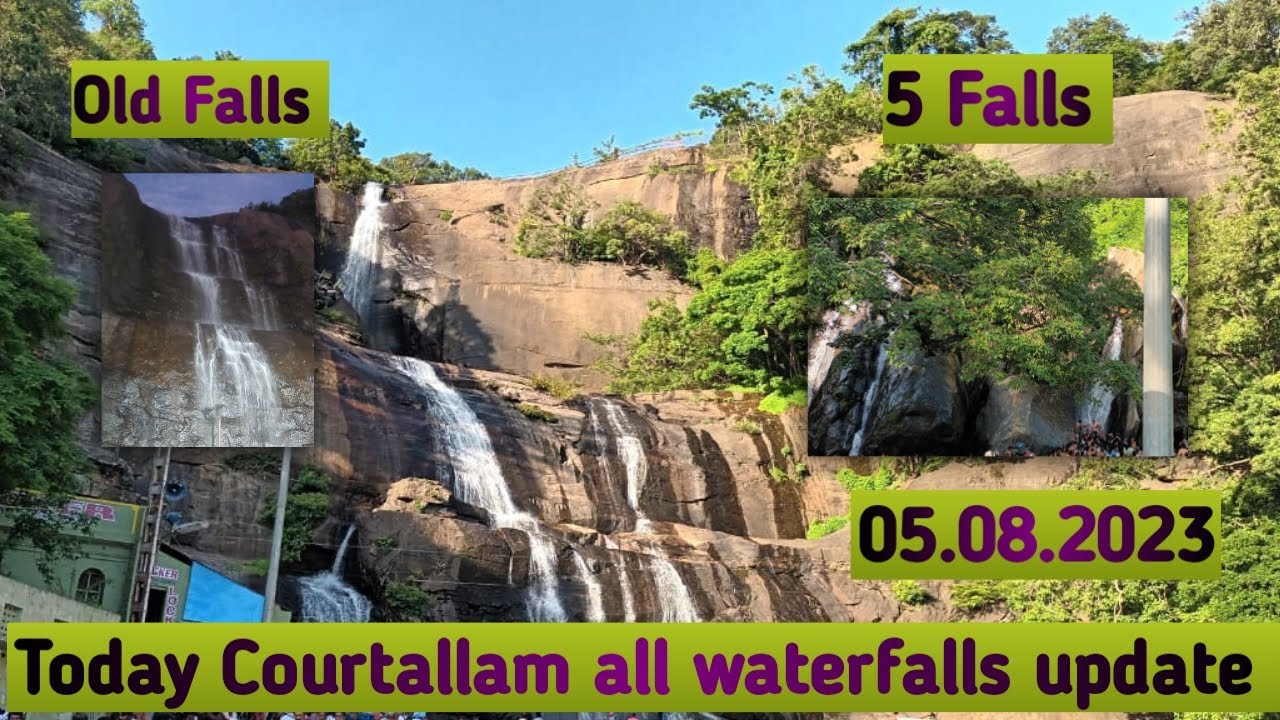 5.8.23#Today Courtallam all Falls update#குற்றாலம் தற்போதைய நிலவரம்# ...