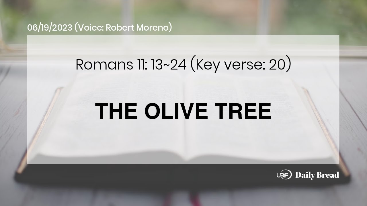 THE OLIVE TREE, Rom 11:13~24, 06/19/2023 / UBF Daily Bread #UBF - YouTube