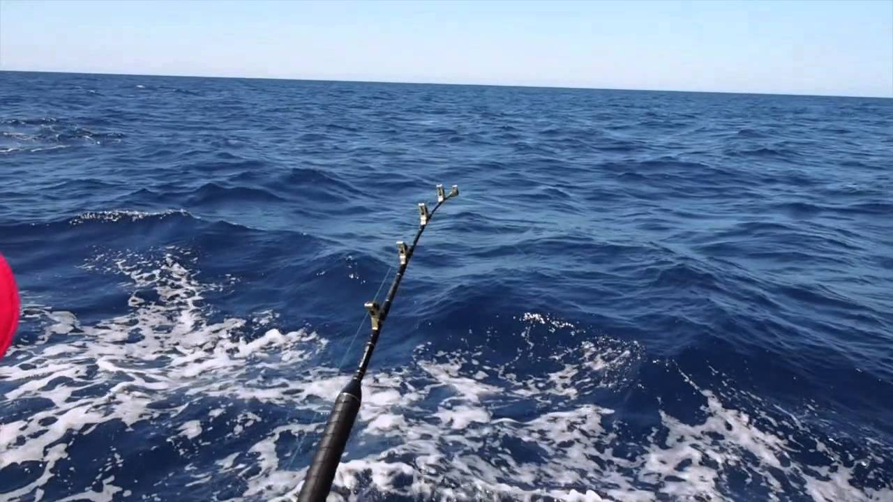 PERTH BLUE MARLIN - hooked up - YouTube