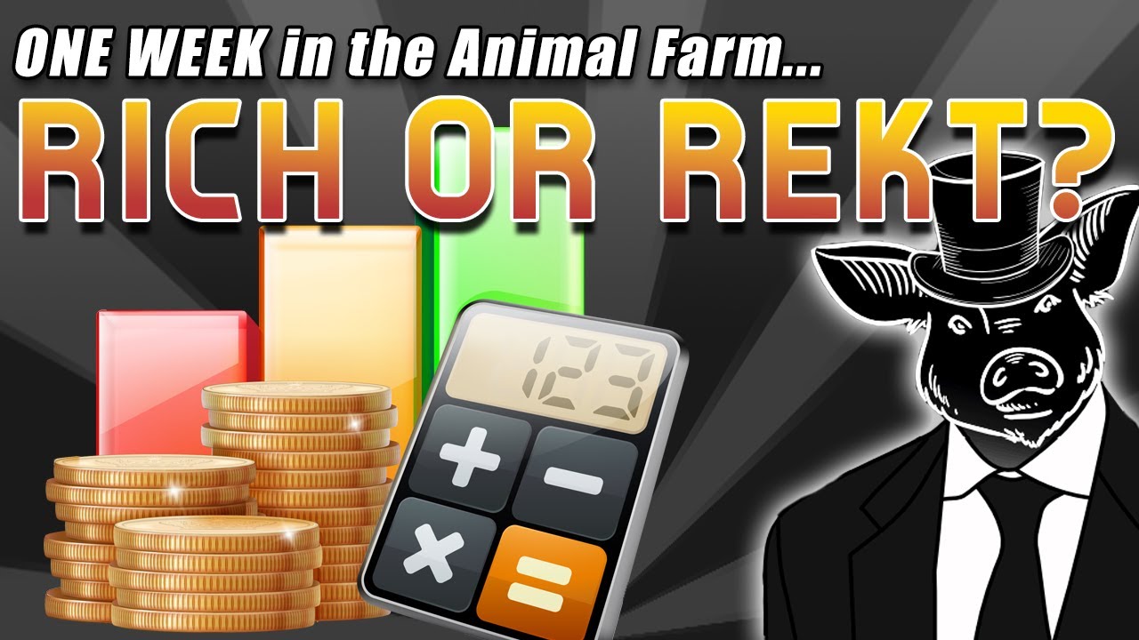 It's been one week since you looked at me... RICH or REKT? 🐷🐶💧 #drip # ...