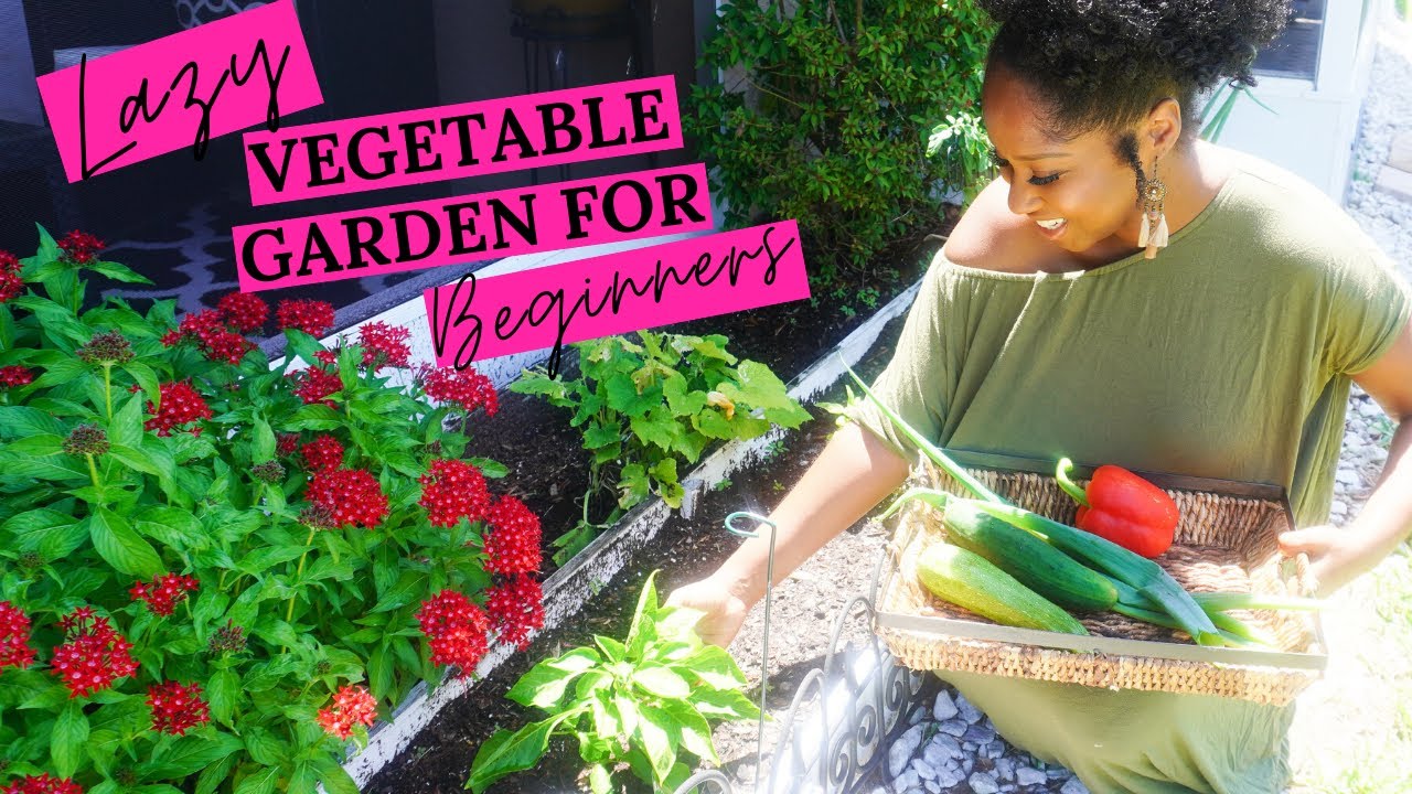 How to START a vegetable garden if you’re lazy - YouTube