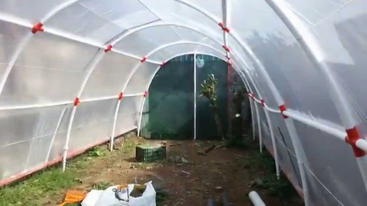 hidroponía, Invernadero, de tubo plástico PVC , Costa Rica, CR, Parte 2 ...