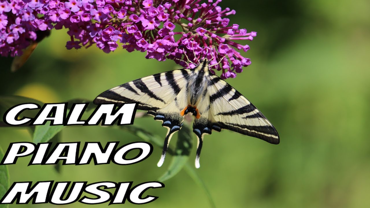 SLOW CALMING PIANO MUSIC FOR RELAX. МЕДЛЕННАЯ СПОКОЙНАЯ ФОРТЕПИАННАЯ ...