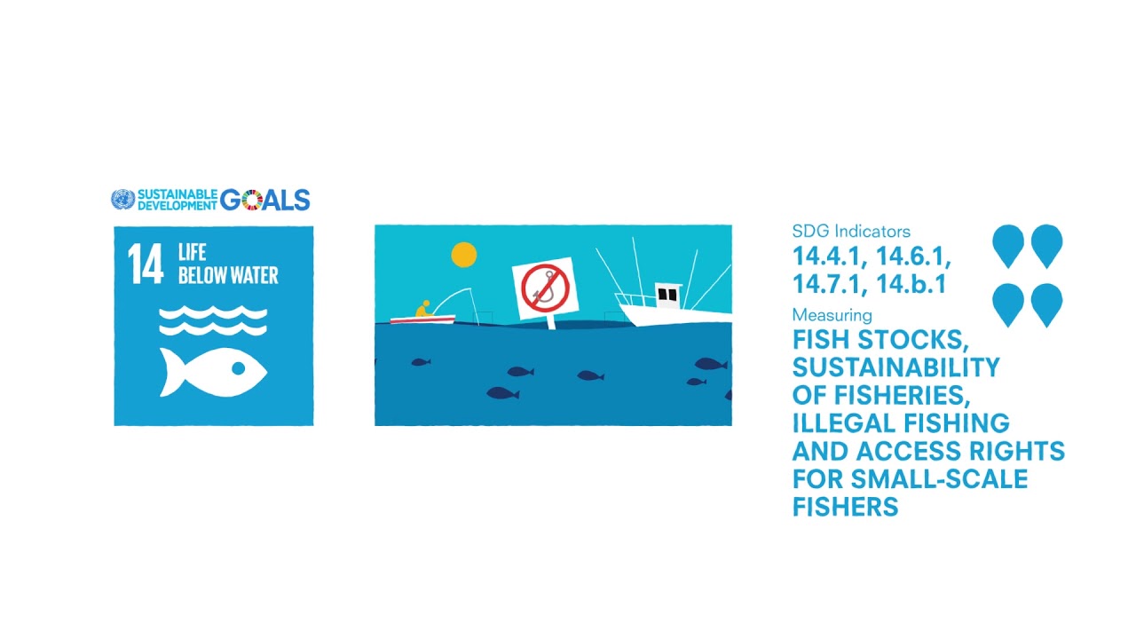 SDG 14 - Indicators of fish stocks, sustainability of fisheries, and ...