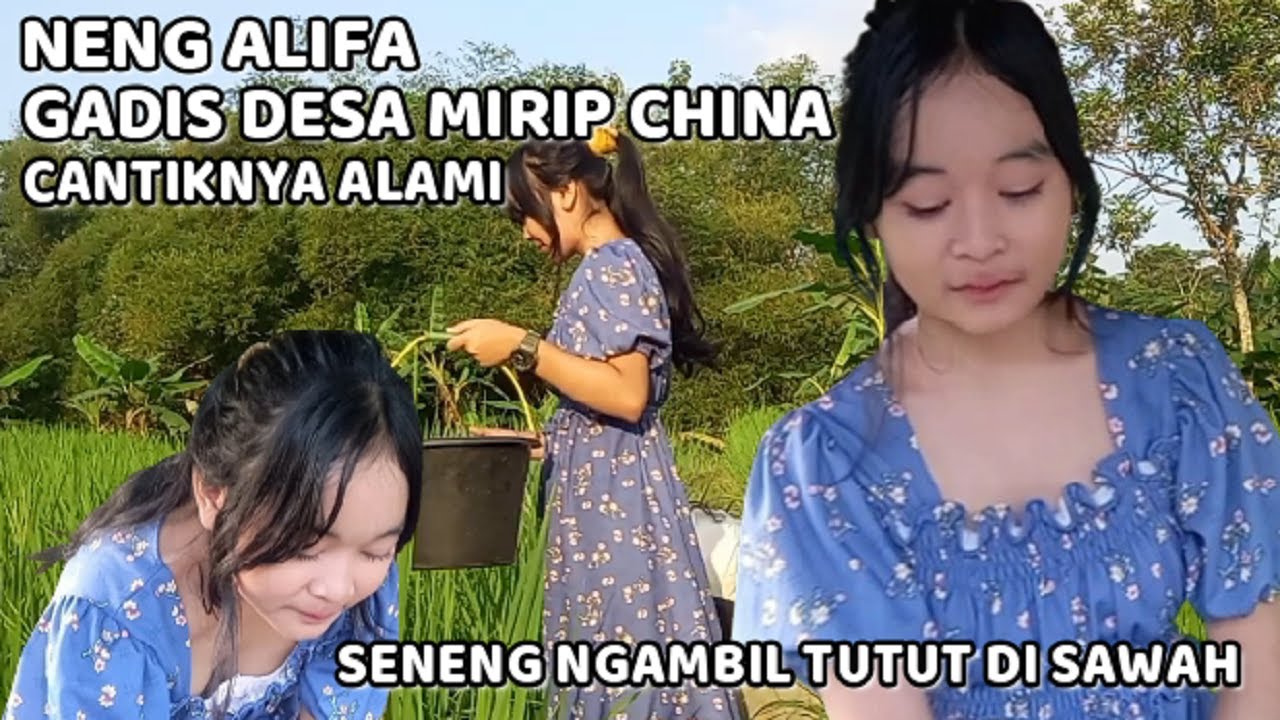 GADIS DESA MIRIP CHINA NENG ALIFA, CANTIKNYA ALAMI MENGHIASI SUASANA PEDESAAN SENENG MAIN DI ...