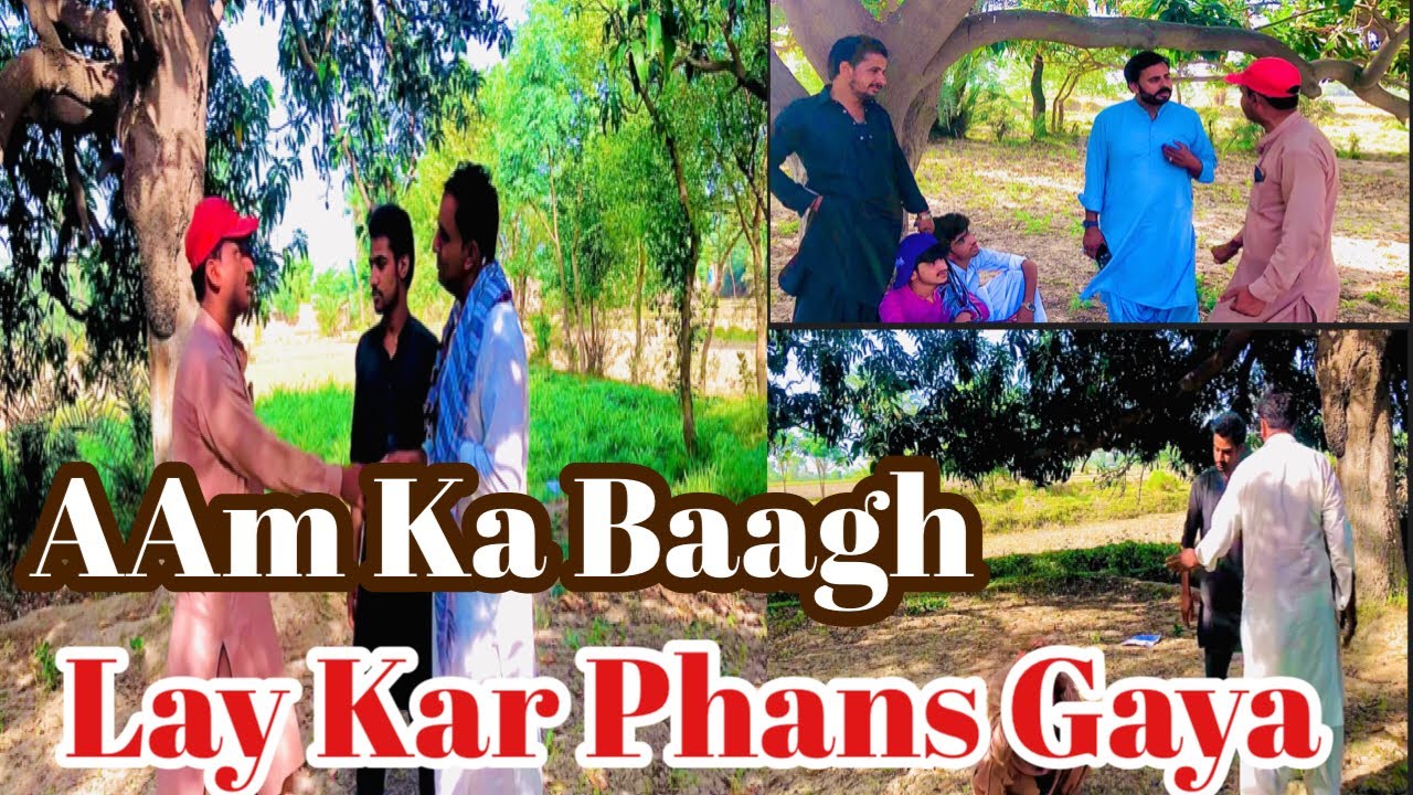 AAm ka baagh lay Kar phans Gaya - YouTube