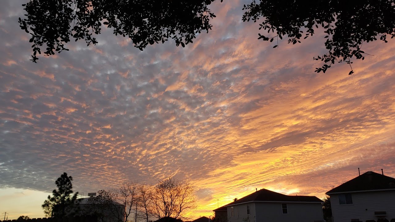 JESUS IS COMING!!! 😇 12/2, 12/9, 12/10, 12/11, 12/16 & 12/22/2021 - YouTube