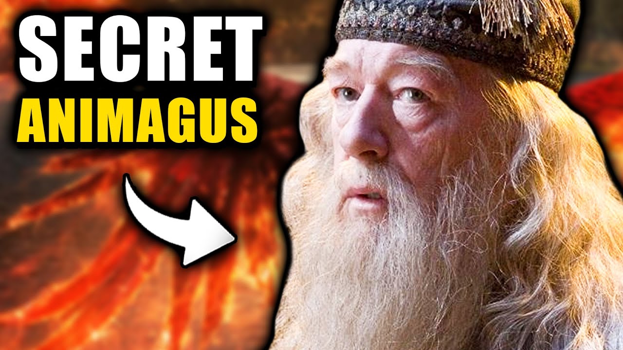 Dumbledore Was an ANIMAGUS - Harry Potter Theory - YouTube