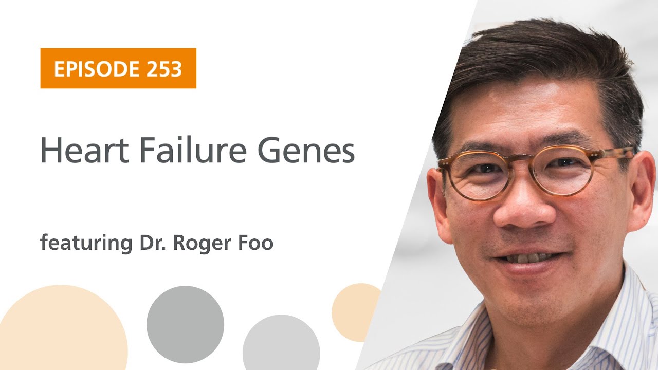 Heart Failure Genes featuring Dr. Roger Foo | The Stem Cell Podcast - YouTube