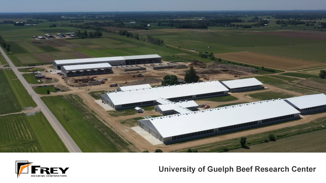 University of Guelph Beef Research Center - Phase 2 - June Update - YouTube