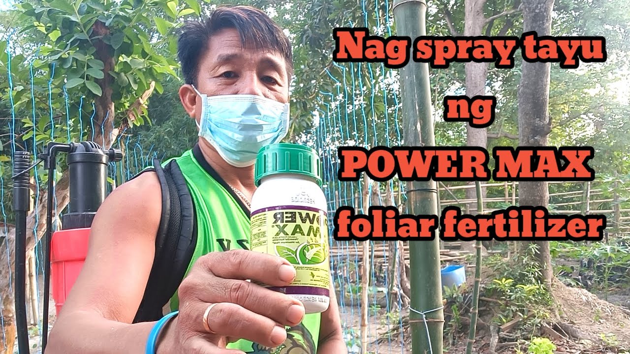 Nag spray tayu ng POWER MAX foliar fertilizer saating mga pananim - YouTube