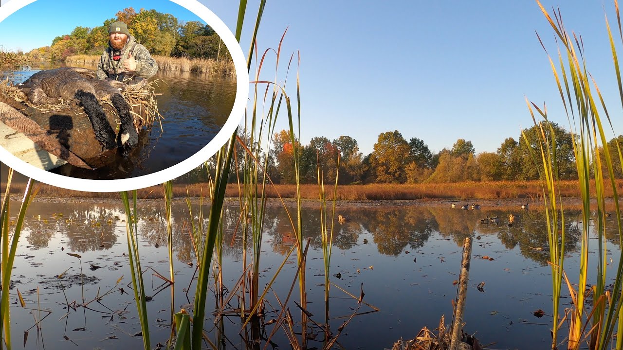 Early Morning Waterfowl Swamp Hunt! - YouTube