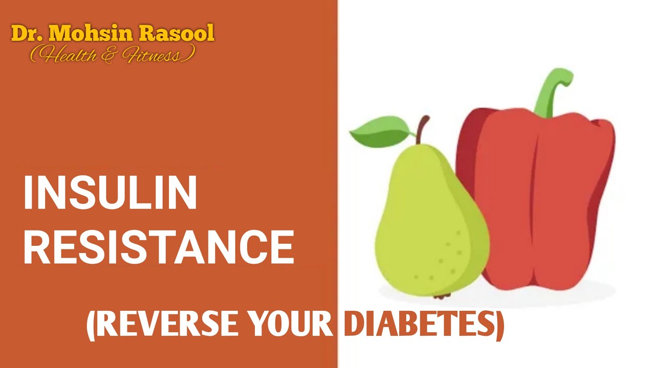 Insulin Resistance Explained - YouTube