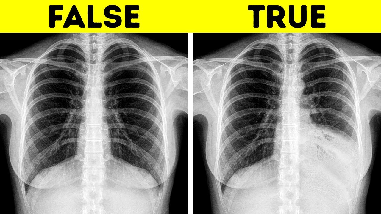 25 Bite-Sized Body Facts to Wow and Amaze - YouTube