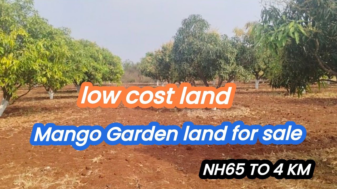 #Mango #Garden #land #for #sale 2.5 #acres 24 #laks #par #acre ...