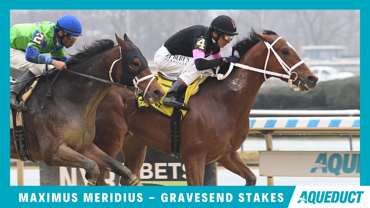 Maximus Meridius - 2024 - Gravesend - YouTube