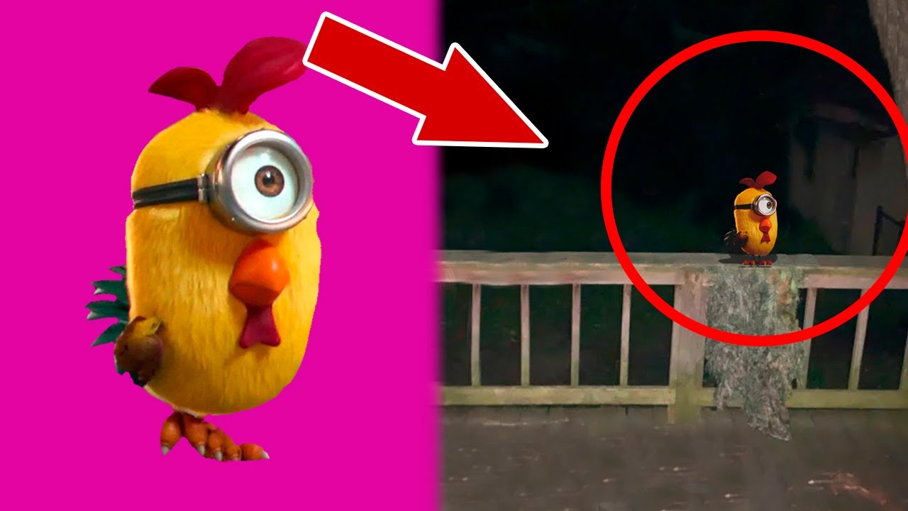 8 MINIONS CHICKEN Captados en CÁMARA y Vistos en la Vida REAL ...