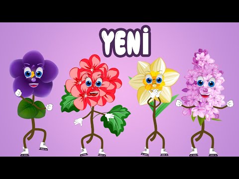 Çiçekler Şip Şap Şop 3.Bölüm🎶Eğitici ve Eğlenceli Bebek ve Çocuk Şarkısı🎶Çizgi Film