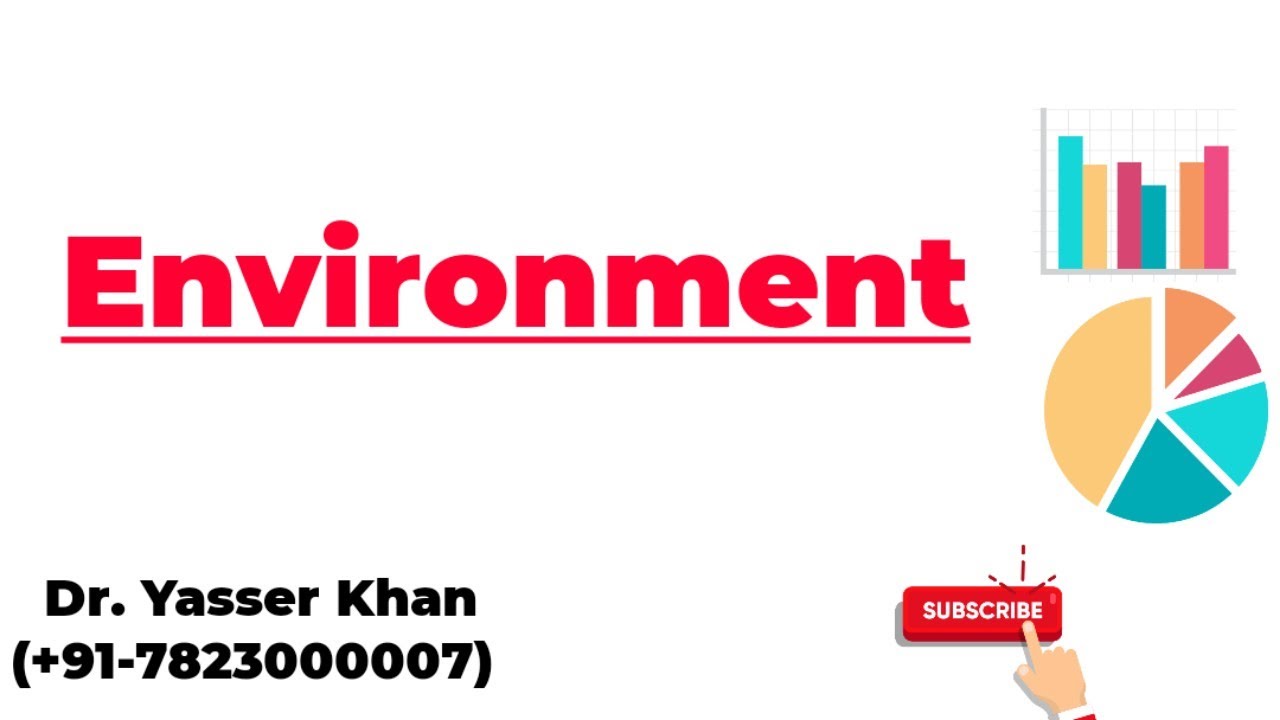 Environment - YouTube