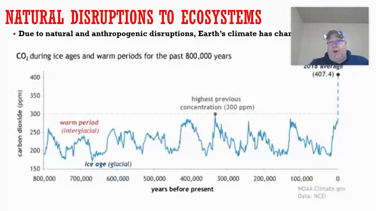 Natural Disruptions to Ecosystems - YouTube