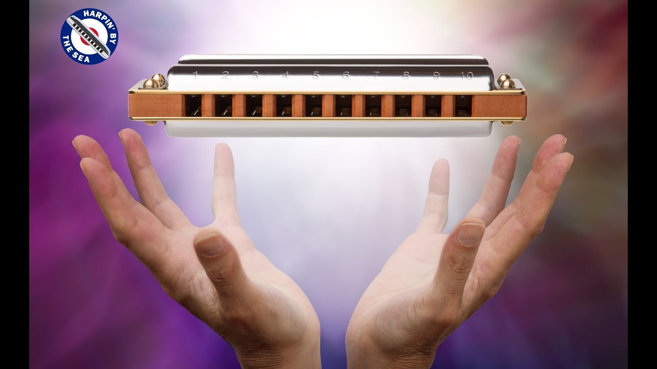 Harmonicas for Health - Harpin' By The Sea 2024 - YouTube