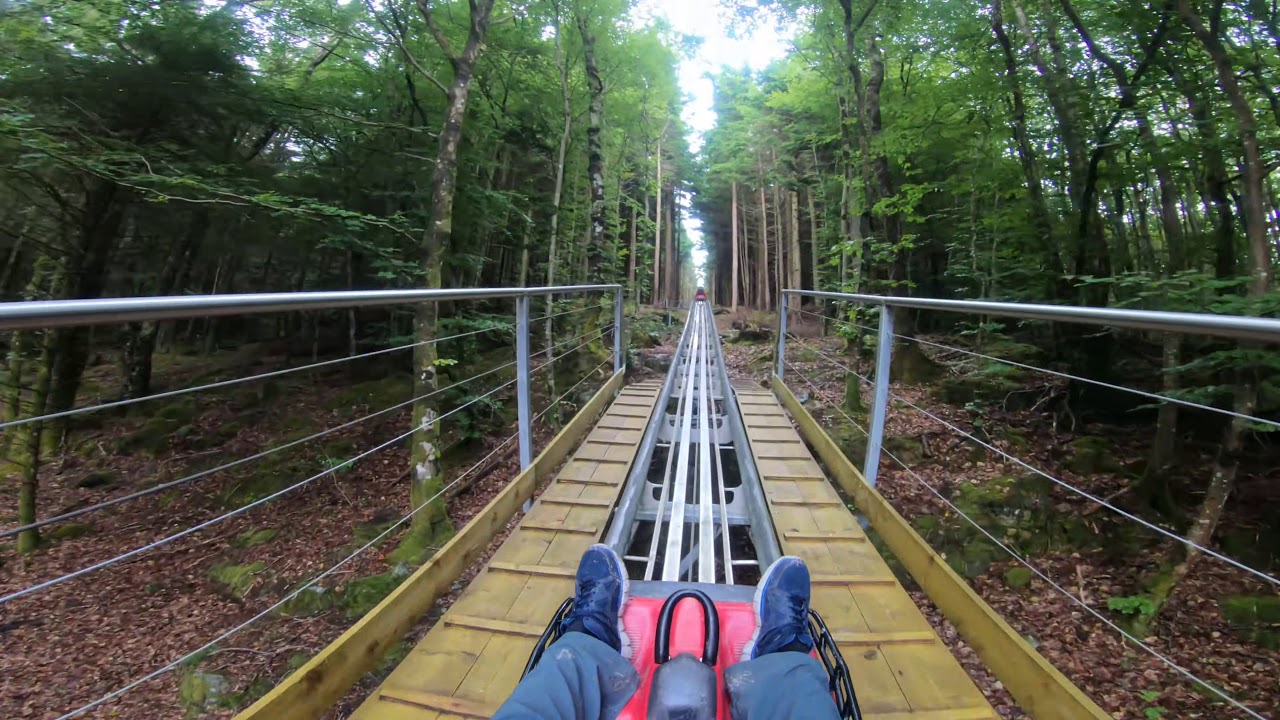 Zip World Forest Coaster Full Ride - YouTube