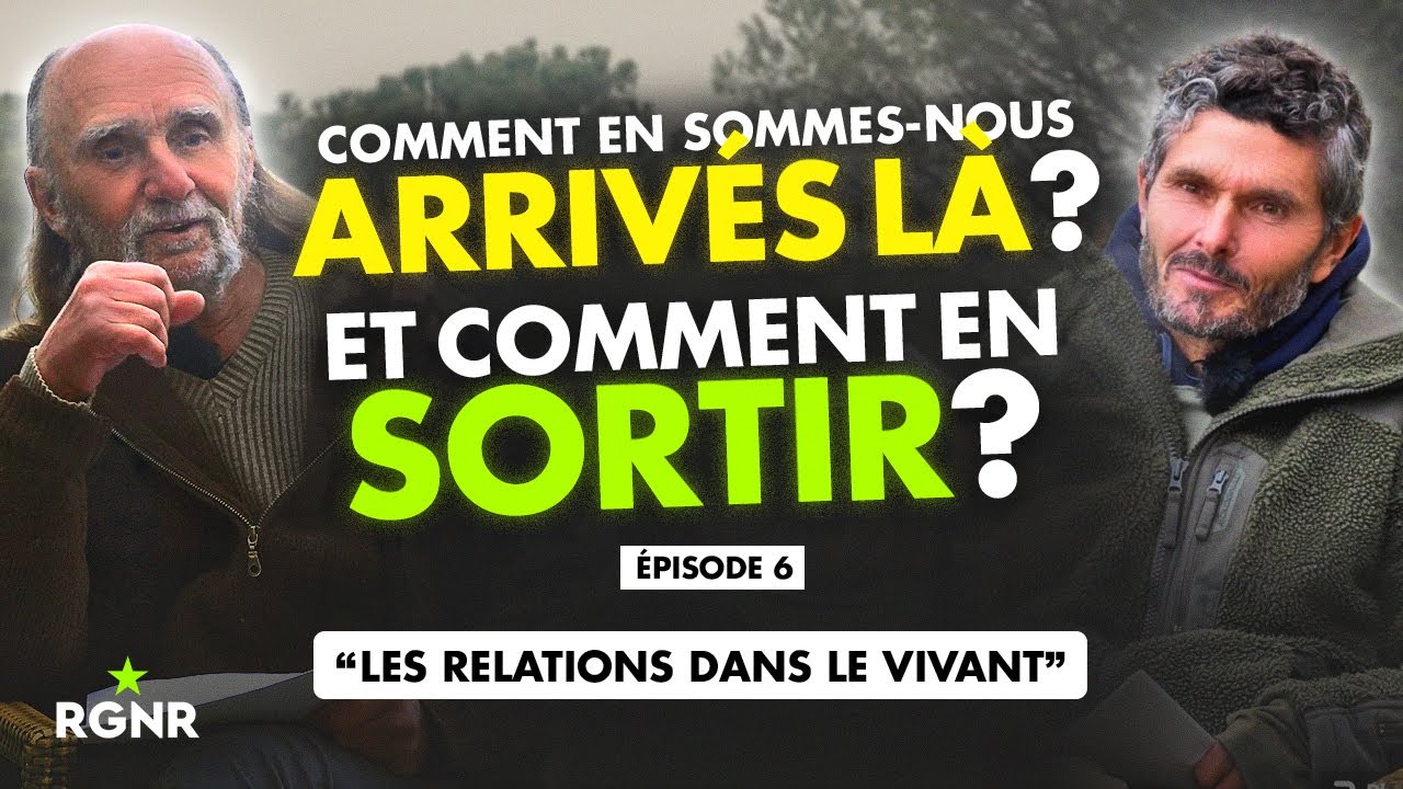 Comment en sommes nous arrivés là ? Ep.6 : Les relations dans le vivant ...