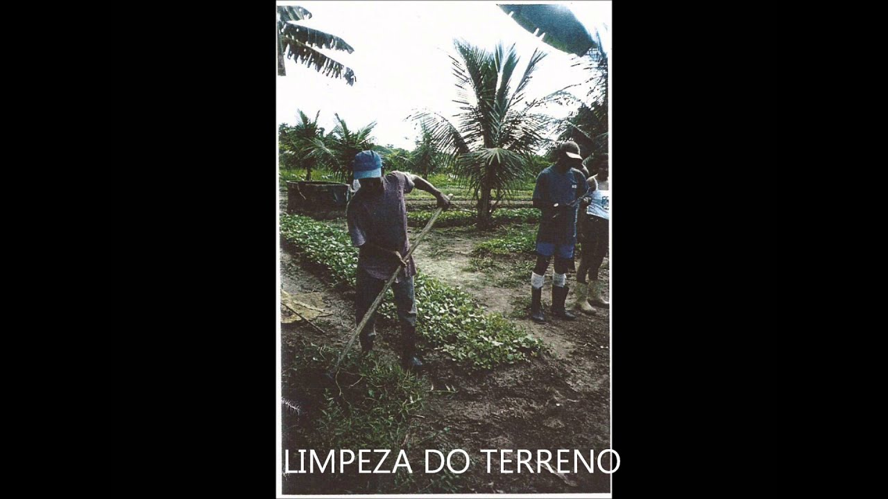 Comunidade Remanescente Quilombola do Macapazinho (Malungu) - YouTube