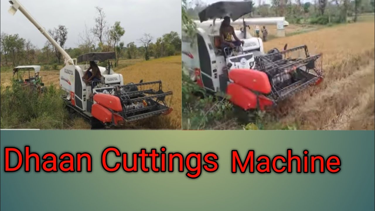 Unveiling the Revolutionary Technique: Dhaan Cutting with Adbegstar ...