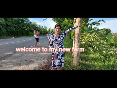 My Farm more grass and bugs to crush