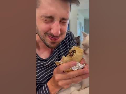 кот ест шаурму - YouTube