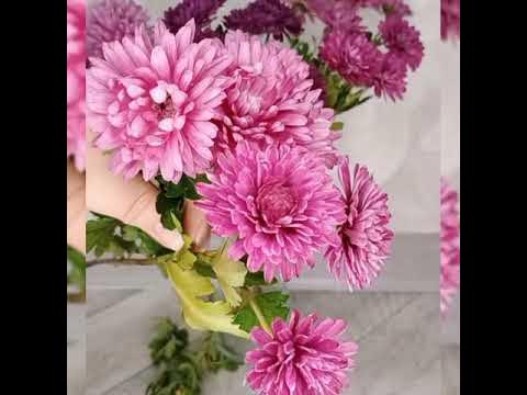 Маленькие хризантемы из холодного фарфора - YouTube