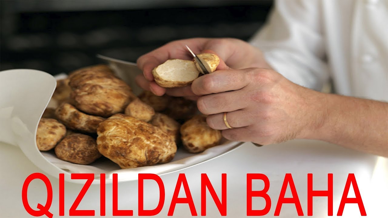 Şəkər xəstəliyinin və qocalığın qarşısını alan kral göbələyi Dombalan ...