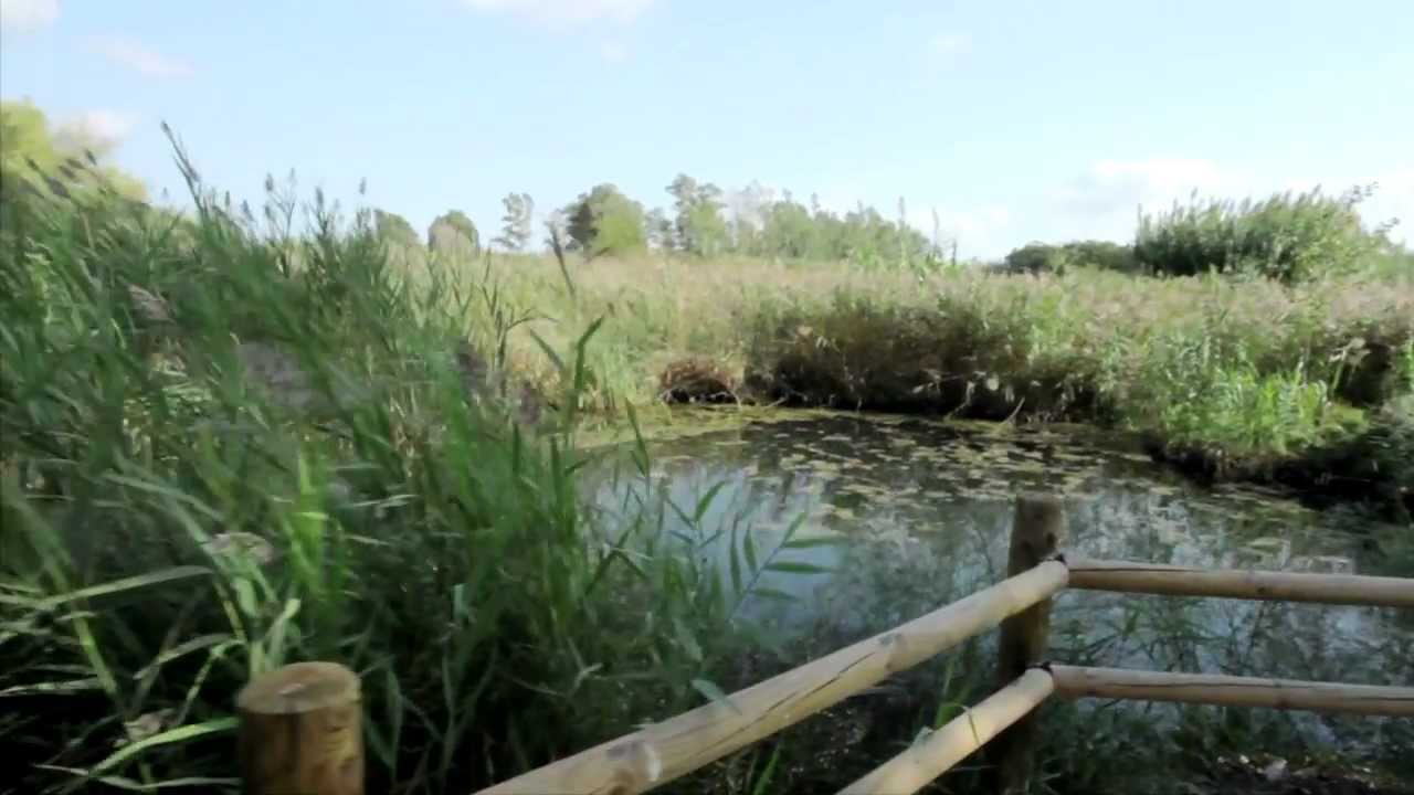 Turisme Terres de l'Ebre - Parc Natural del Delta de l'Ebre - YouTube