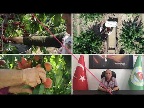 DİJİTAL TARIM PAZARI (DİTAP)